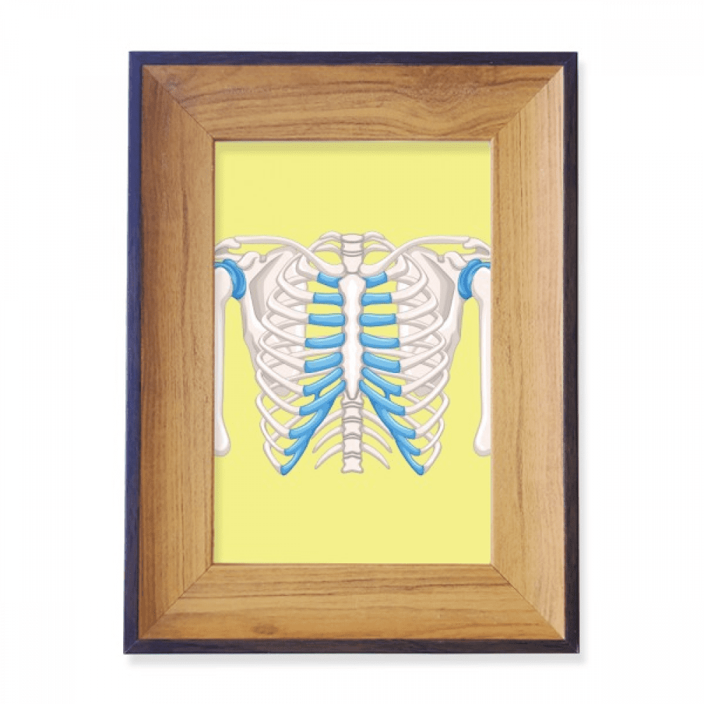 Rib Thoracic Lucky Illustration Photo Frame Exhibition Display Art ...