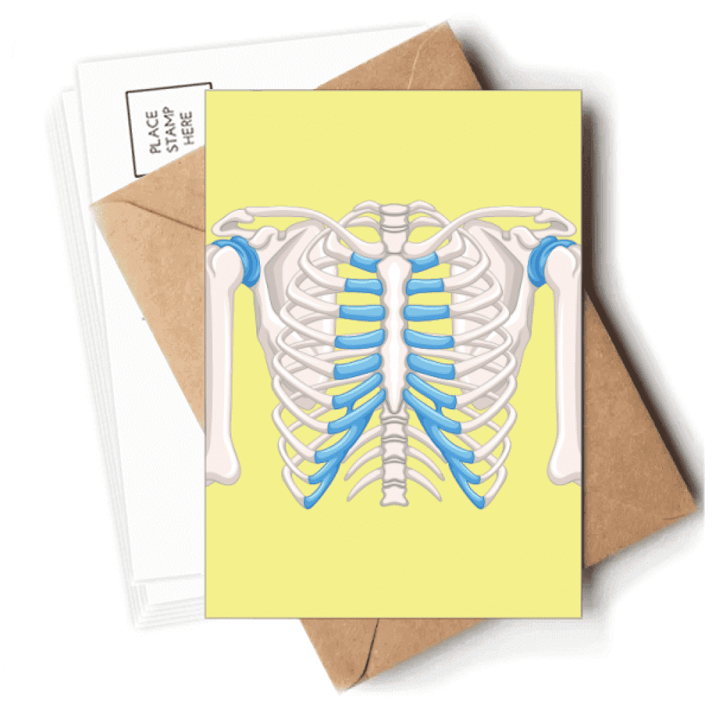 Rib Thoracic Lucky Illustration Postcards Envelopes Blank Note Cards ...