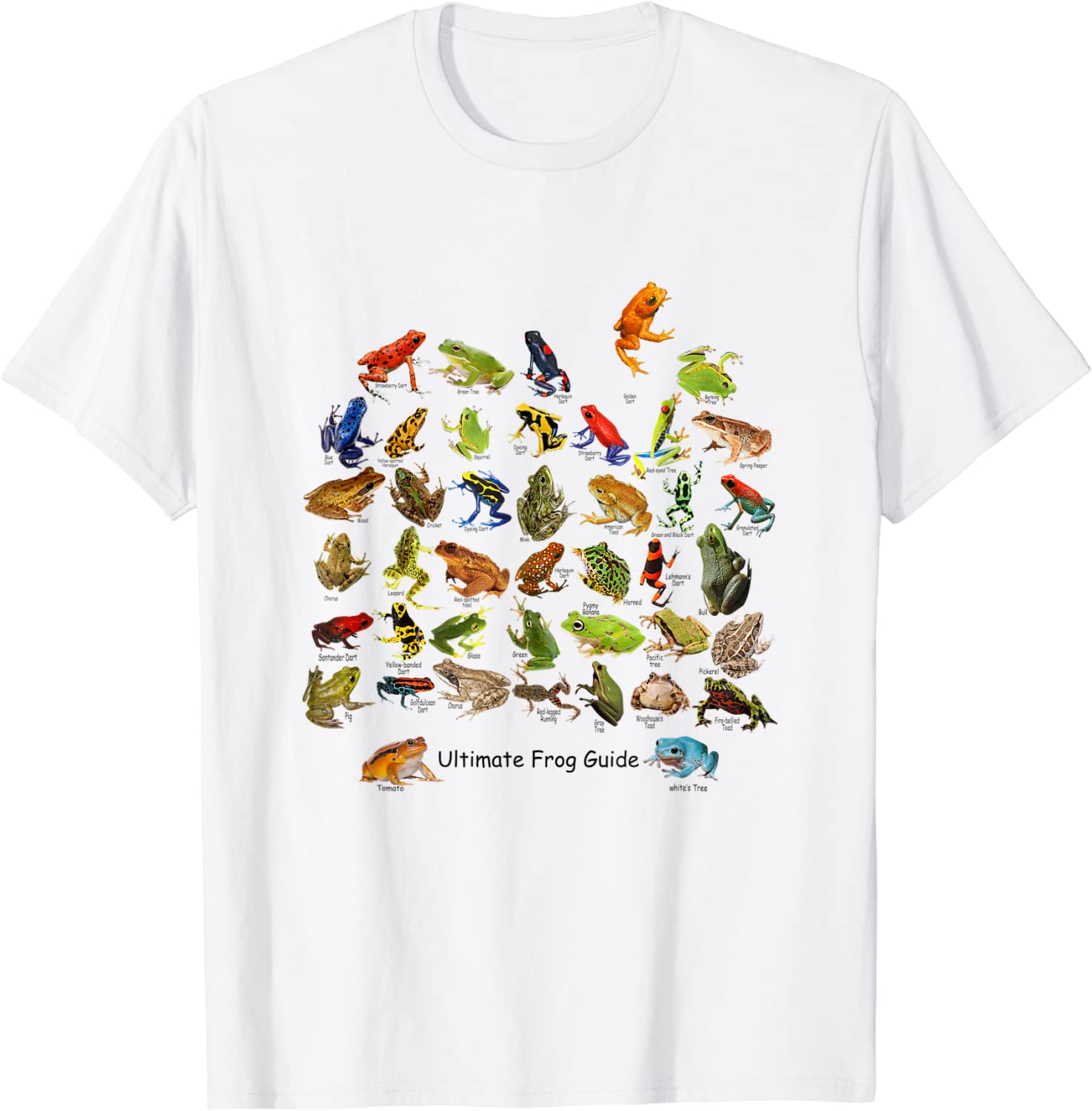 Ribbiting Revelations: The Hilarious Handbook for Frog Fanatics - A ...