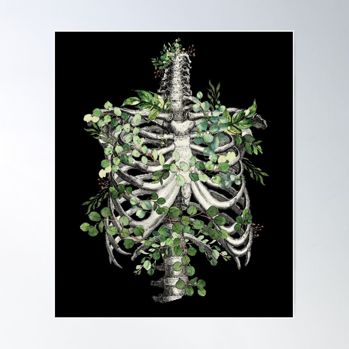 Ribcage Botanical, Rib Cage, Floral Anatomy Skeleton With Eucaliptus ...
