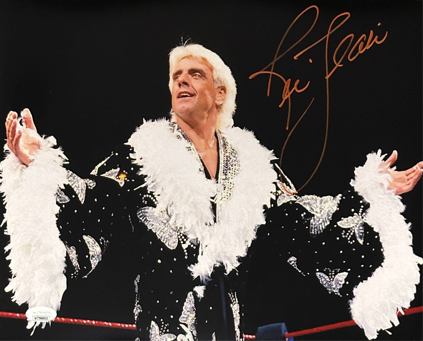 Ric Flair Signed Autographed 11x14 Photo JSA Authen WWE WCW #11 Orange ...