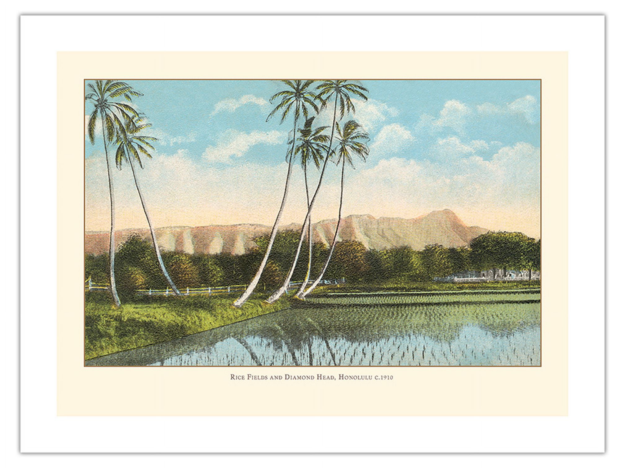 Rice Fields and Diamond Head Crater - Honolulu Oahu Hawaii - Vintage ...