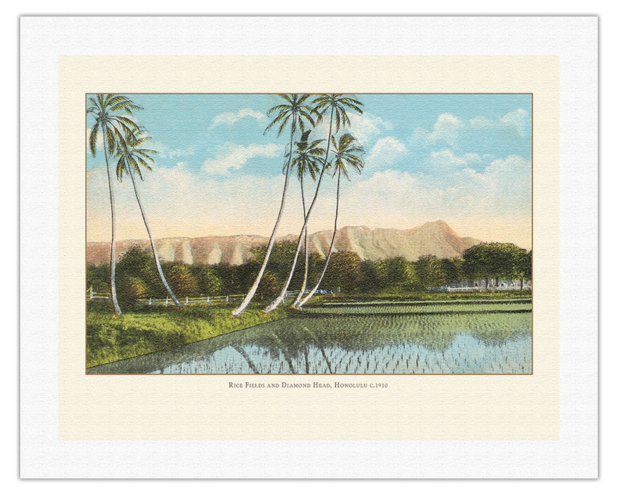 Rice Fields and Diamond Head Crater - Honolulu Oahu Hawaii - Vintage ...