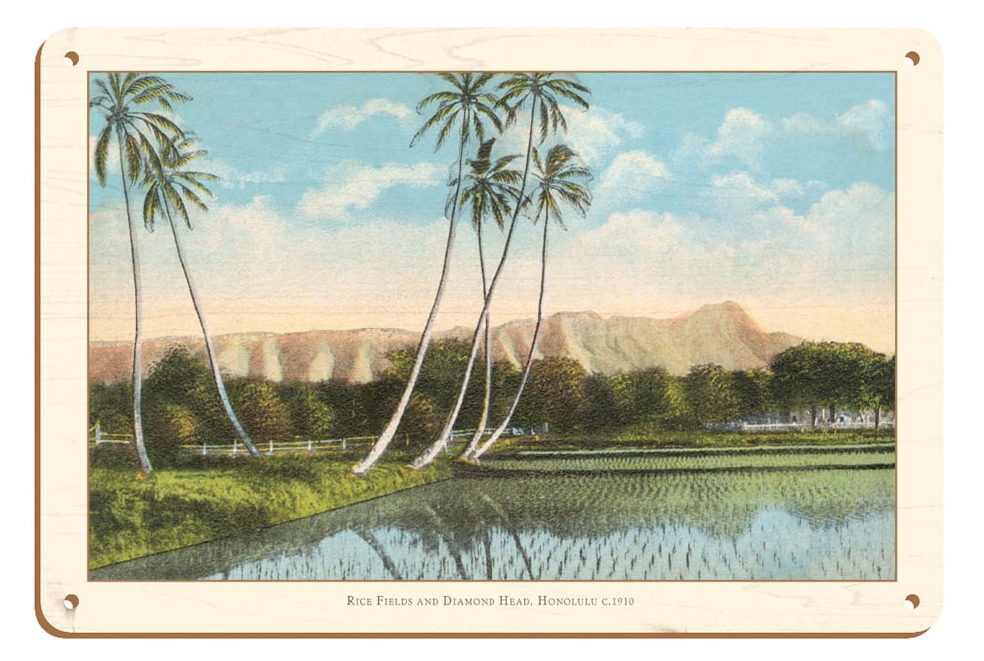 Rice Fields and Diamond Head Crater - Honolulu Oahu Hawaii - Vintage ...