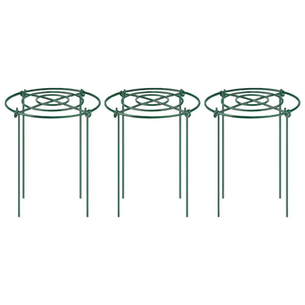 RichLink 3Pcs Plant Climbing Frame Hydrangea Rose Bracket Creative ...