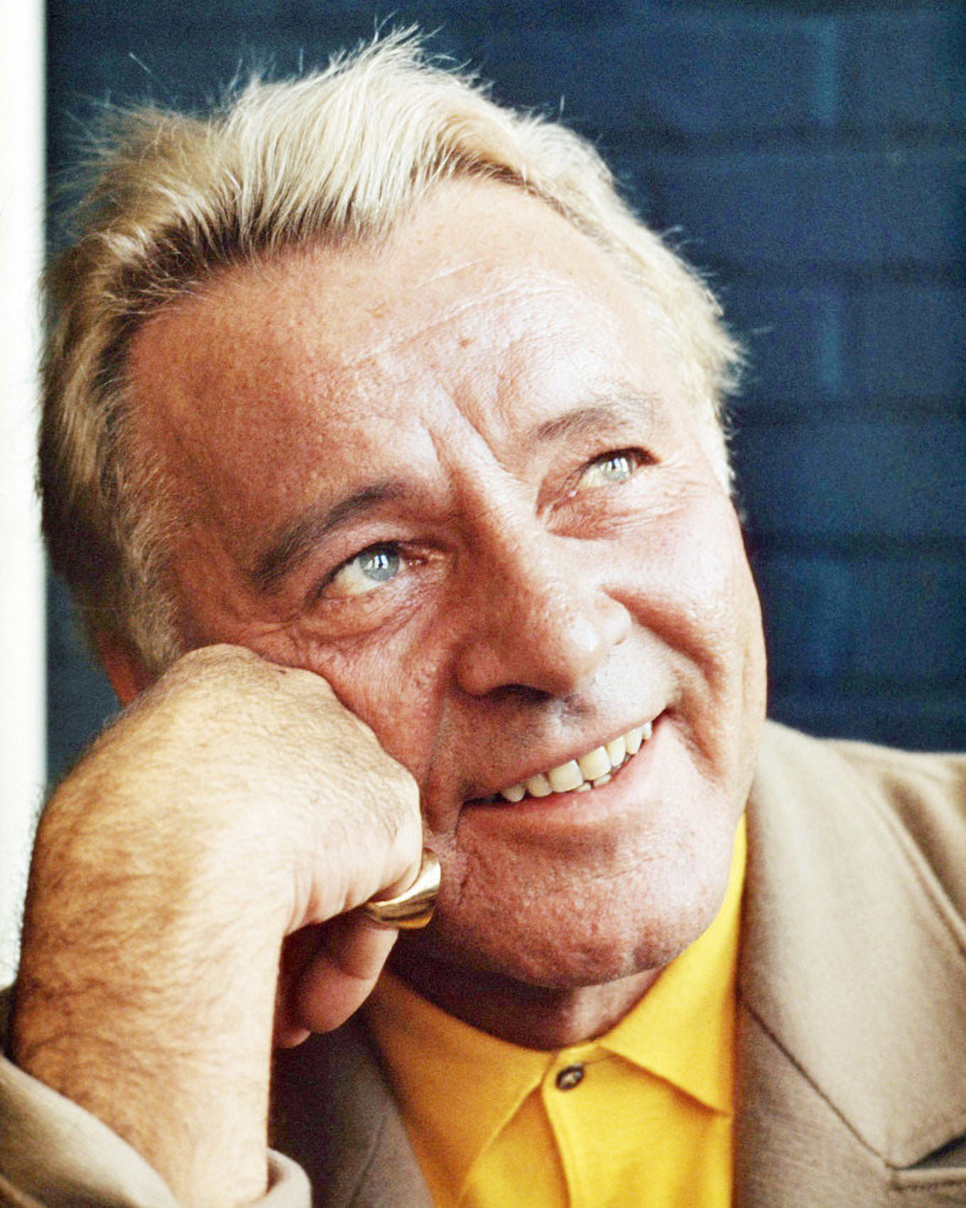 Richard Burton 24X36 Classic Hollywood Poster Smiling Later Portrait ...