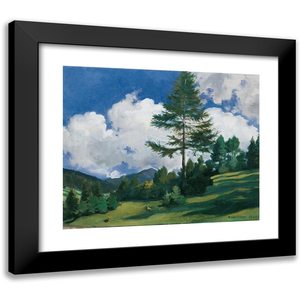 Richard Harlfinger 14x12 Black Modern Framed Museum Art Print Titled ...