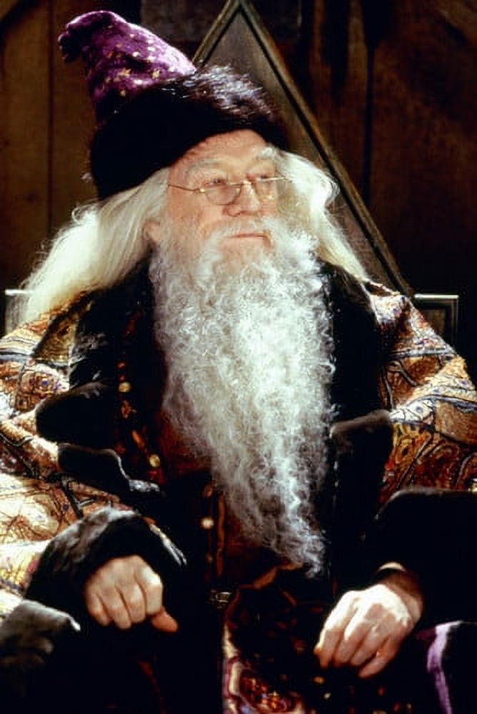 Richard Harrisfrom Harry Potter 24X36 Poster - Walmart.com