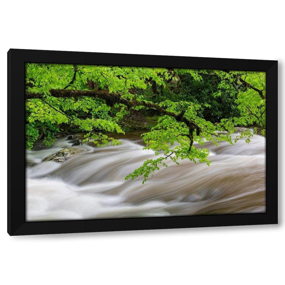 Richard and Susan Day 18x13 Black Modern Wood Framed Wall Art Titled ...