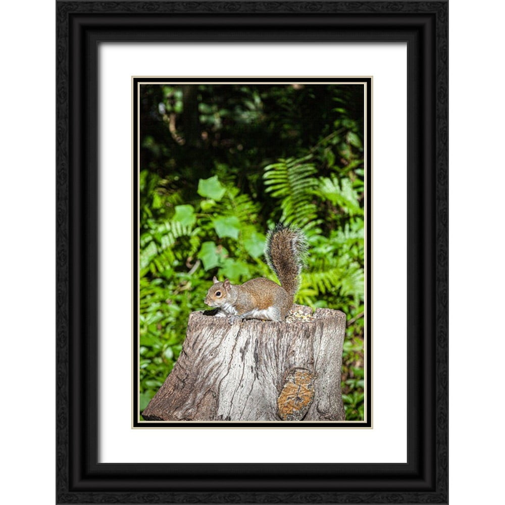 Richardson, Larry 11x14 Black Ornate Wood Framed with Double Matting ...