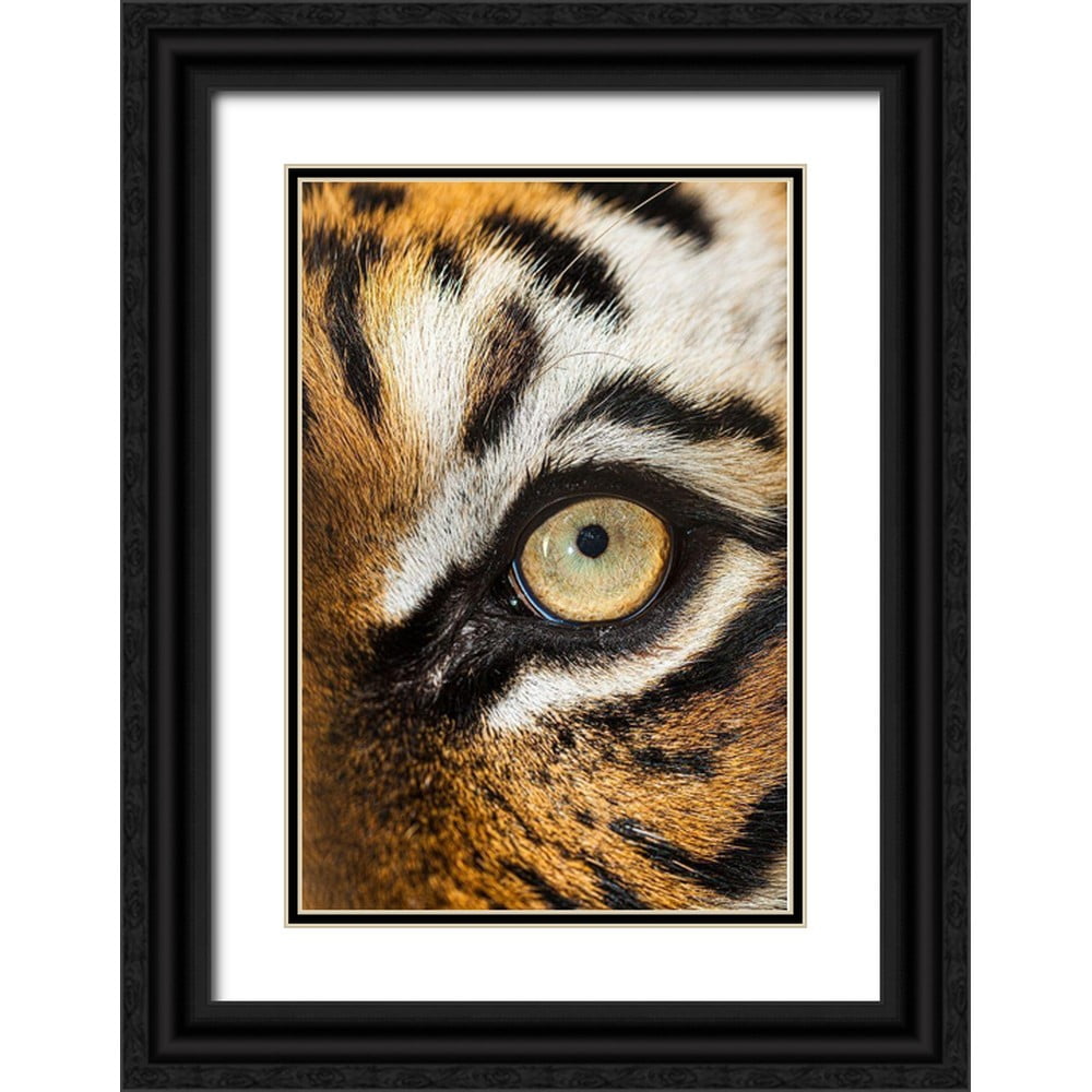 Richardson, Larry 11x14 Black Ornate Wood Framed with Double Matting ...