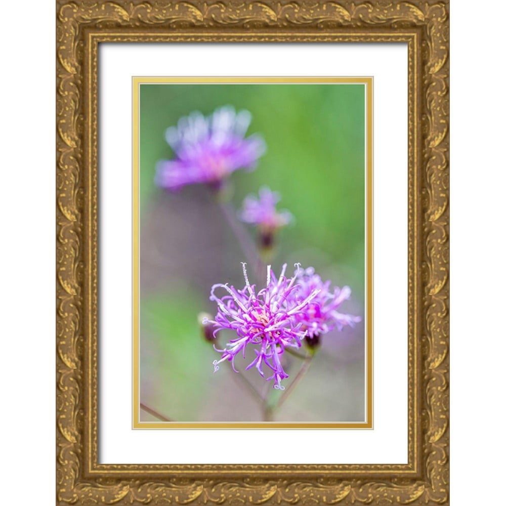 Richardson, Larry 11x14 Gold Ornate Wood Framed with Double Matting ...