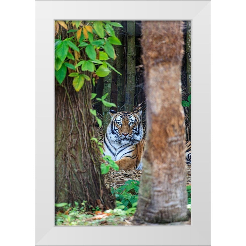 Richardson, Larry 11x14 White Modern Wood Framed Museum Art Print ...