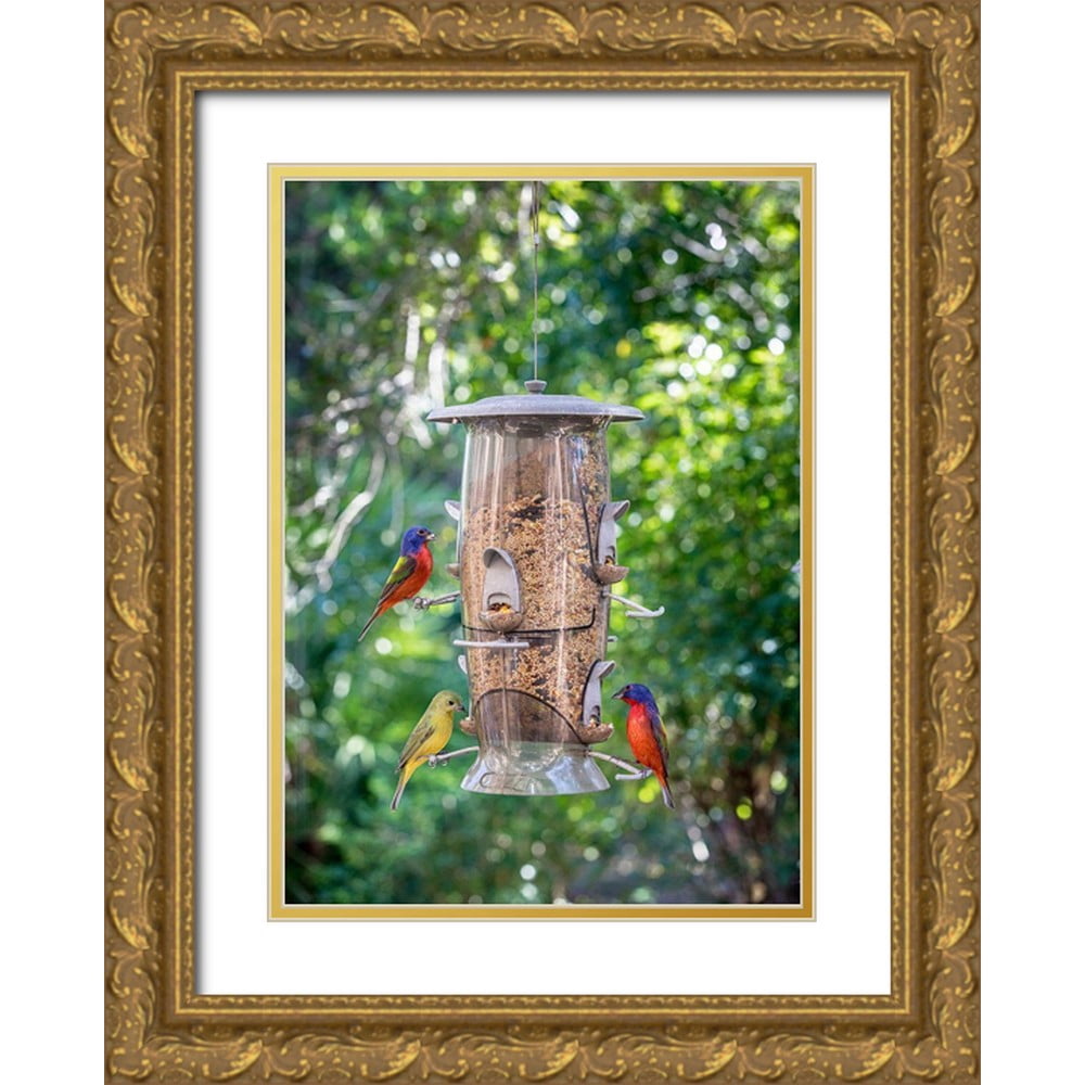 Richardson, Larry 14x18 Gold Ornate Wood Framed with Double Matting ...