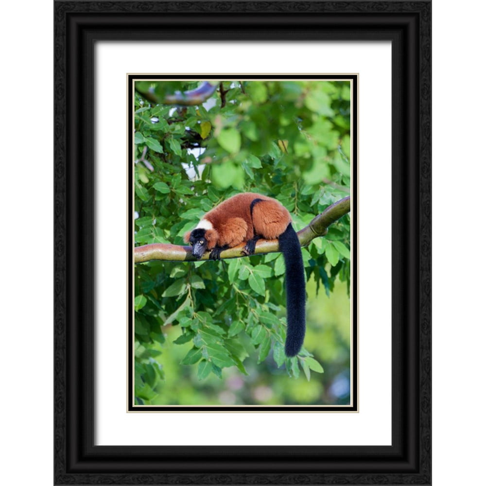 Richardson, Larry 17x24 Black Ornate Wood Framed with Double Matting ...