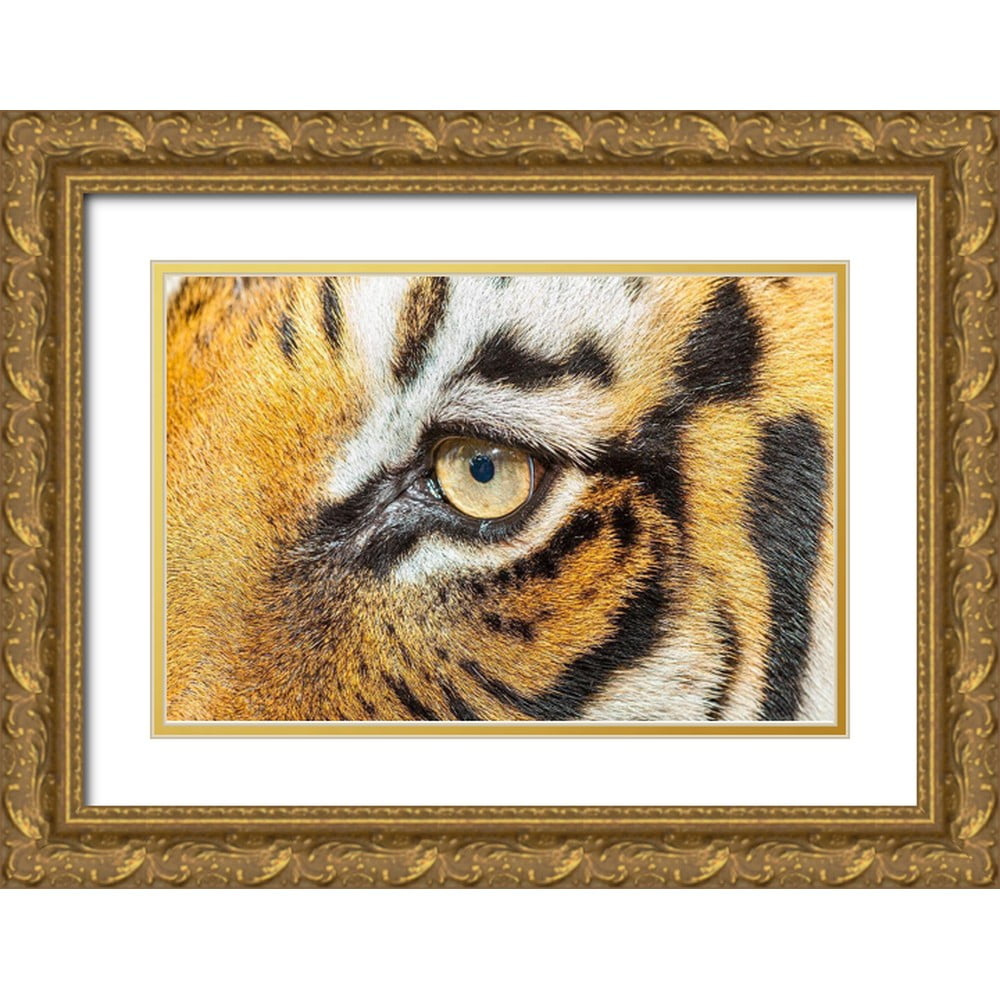 Richardson, Larry 18x13 Gold Ornate Wood Framed with Double Matting ...
