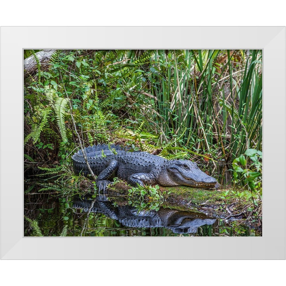 Richardson, Larry 18x15 White Modern Wood Framed Museum Art Print ...