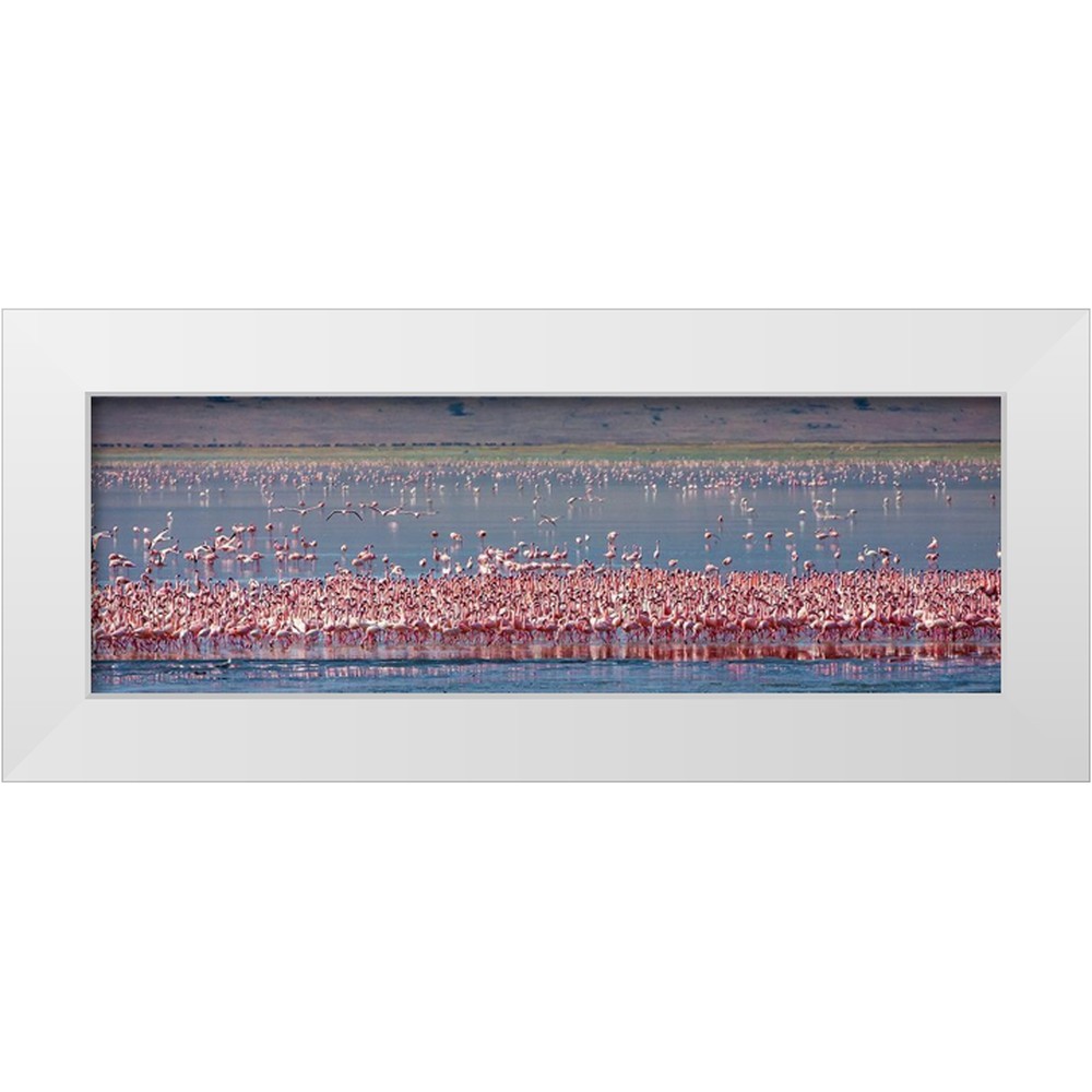 Richardson, Larry 18x9 White Modern Wood Framed Museum Art Print Titled ...