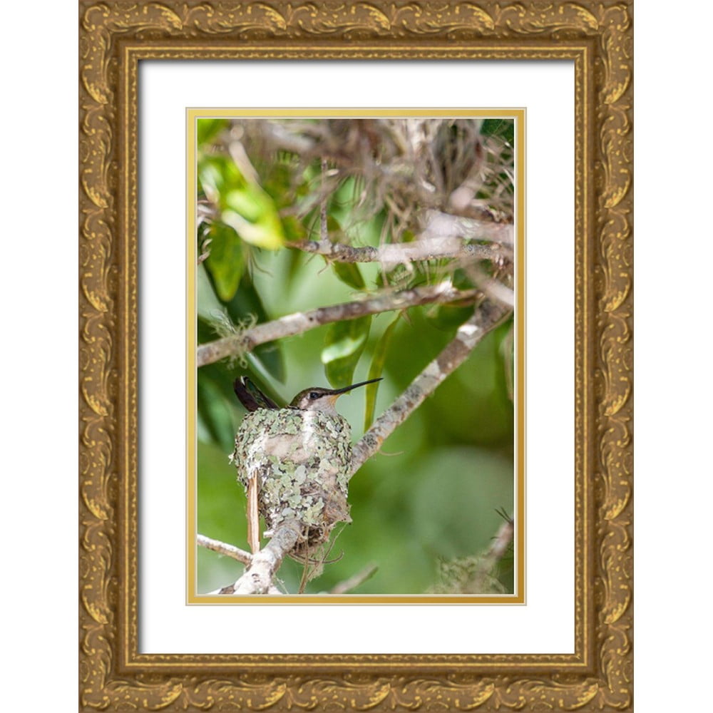 Richardson, Larry 23x32 Gold Ornate Wood Framed with Double Matting ...