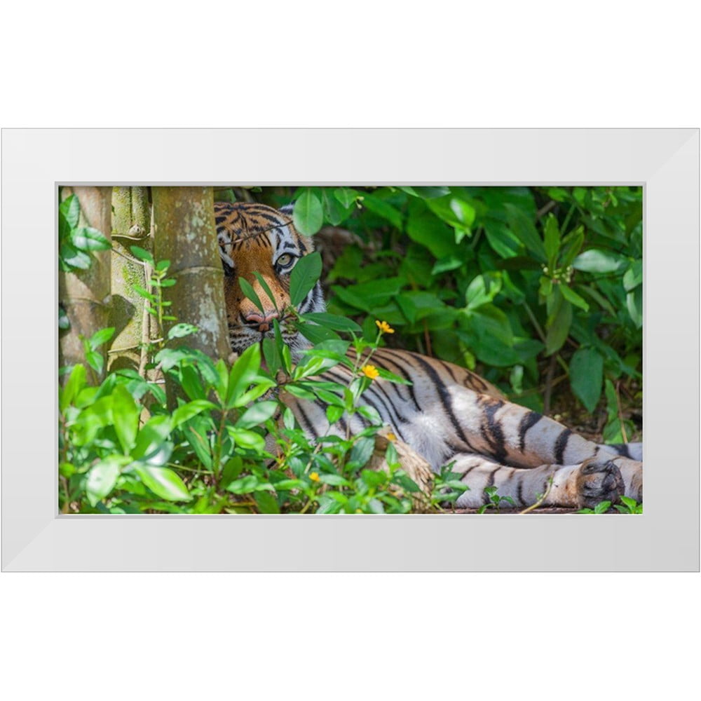 Richardson, Larry 24x15 White Modern Wood Framed Museum Art Print ...