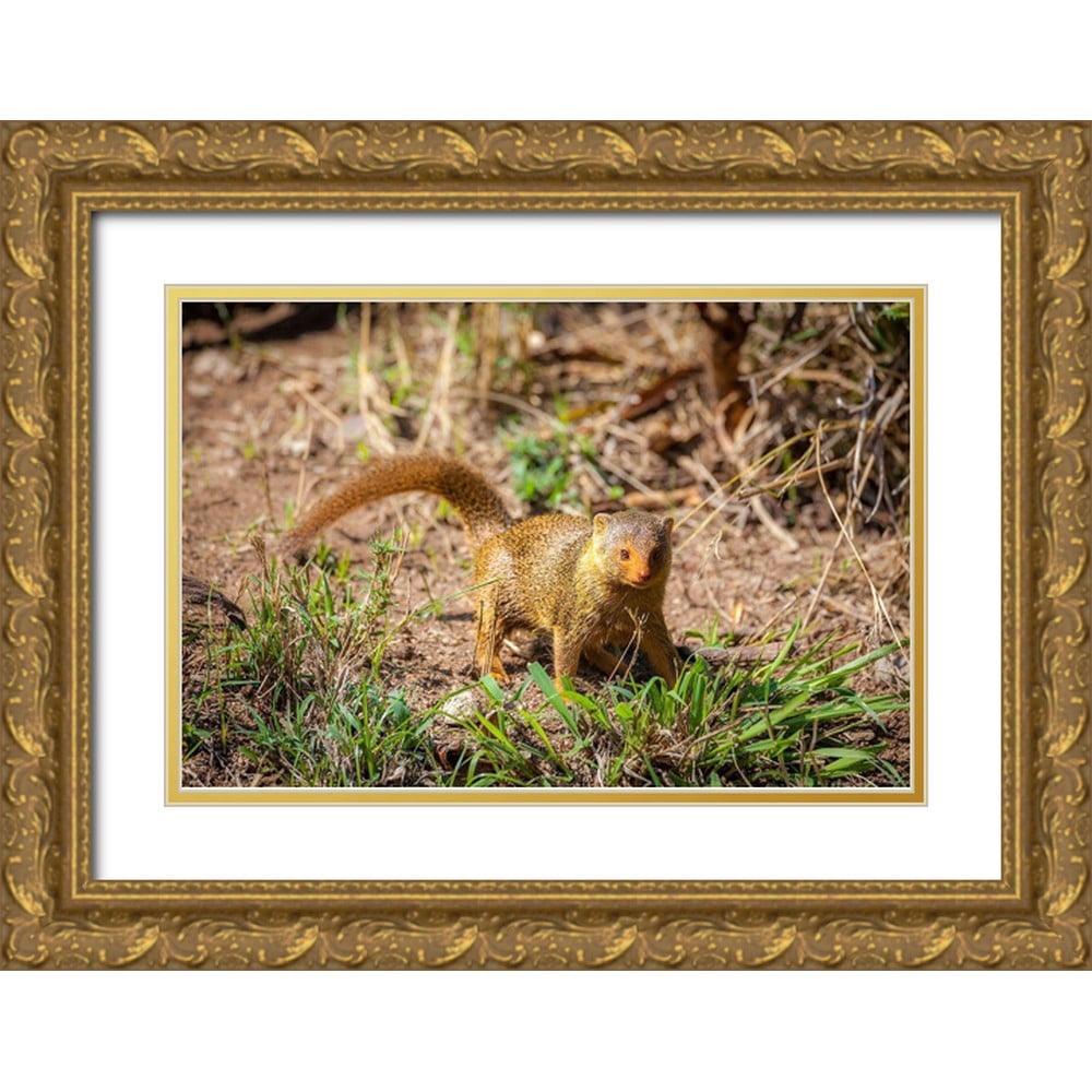 Richardson, Larry 24x17 Gold Ornate Wood Framed with Double Matting ...