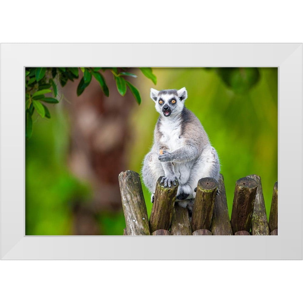 Richardson, Larry 24x17 White Modern Wood Framed Museum Art Print ...
