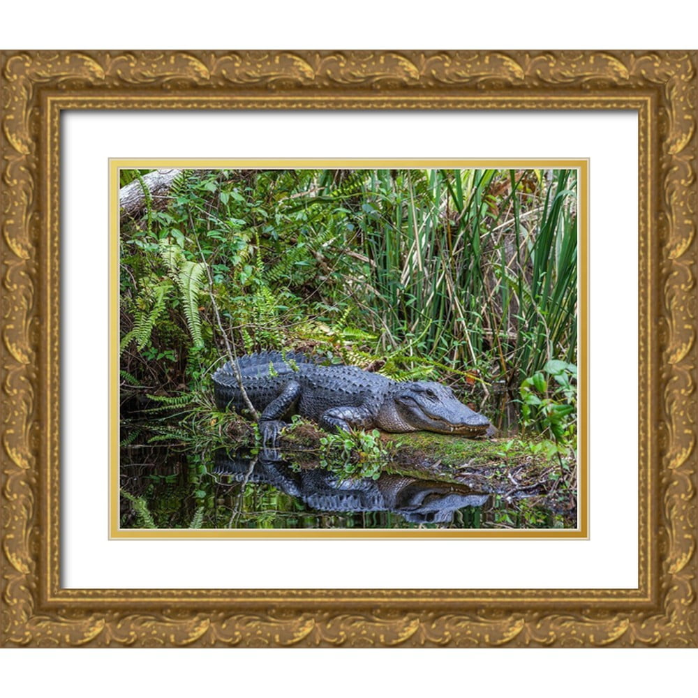 Richardson, Larry 32x26 Gold Ornate Wood Framed with Double Matting ...