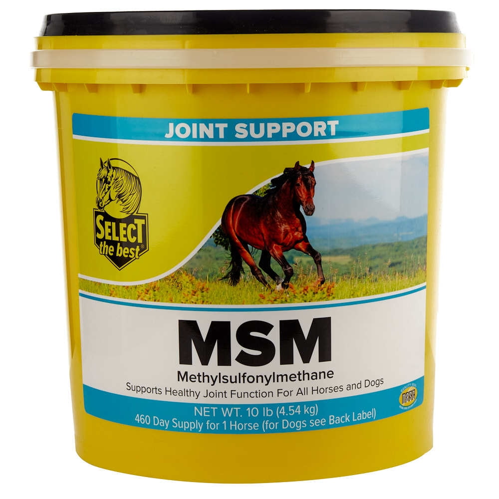 Richdel MSM Joint Support Powder 10lb, Supports Horse Mobility ...