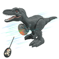 Richgv Remote Control Dinosaur Toys for Toddlers 3 4 5 6 7 8 Years, Mini Infrared RC Dino Robot ...