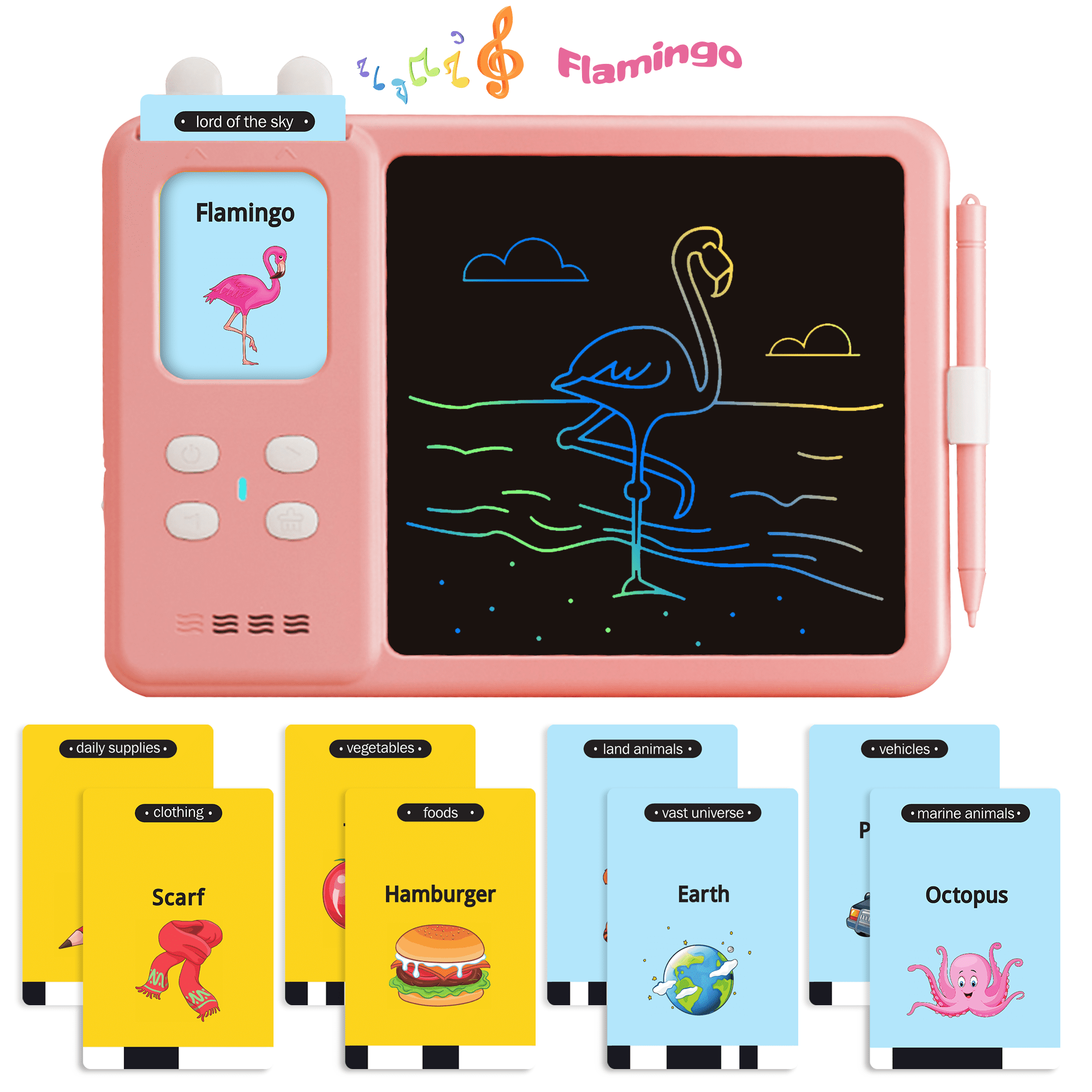 Richgv 2 IN 1 Flash Cards & LCD Writing Tablet, Educational Toy for ...