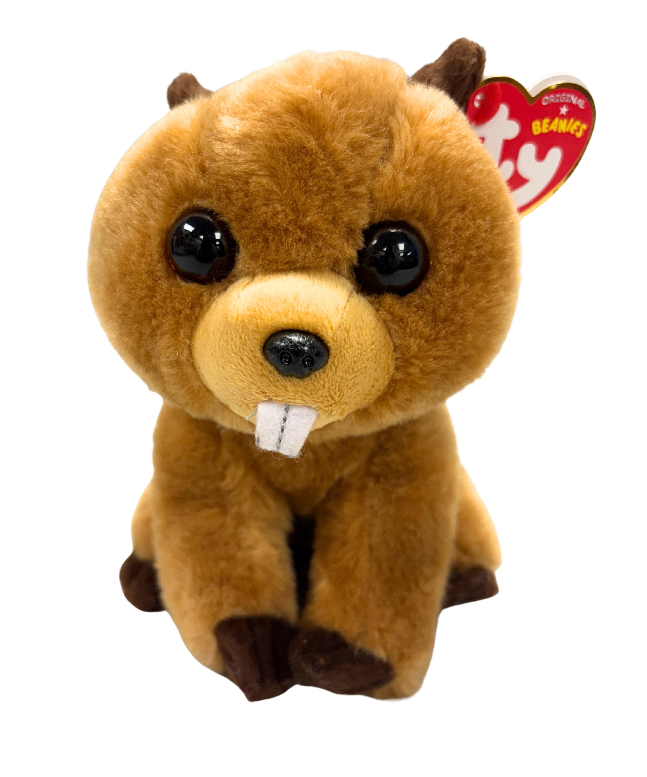 Richie Beaver Beanie Babies 8 inch - Stuffed Animal by Ty (41202 ...
