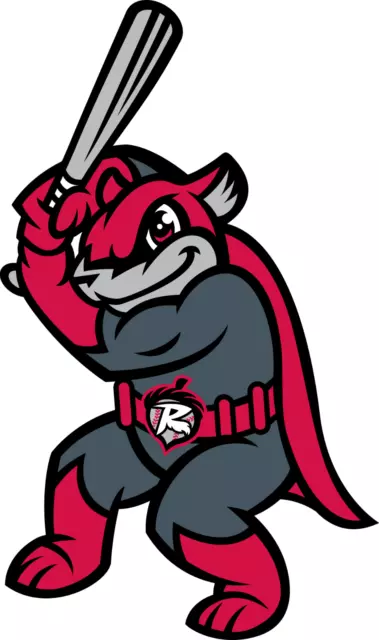 Richmond Flying Squirrels Sticker Milb Phone Decal Water Bottle ...