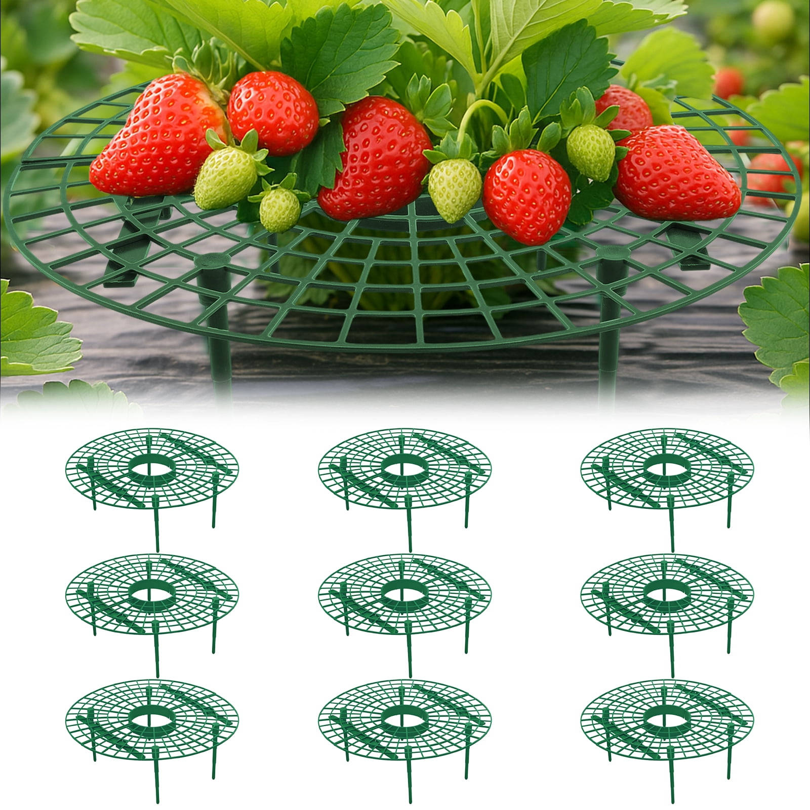 Richoose 10 Packs Circle Strawberry Supports,Strawberry Growing Racks ...
