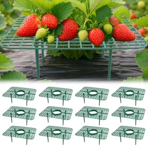 Deago 5 Pack Strawberry Supports for Garden Strawberry Plant Support ...