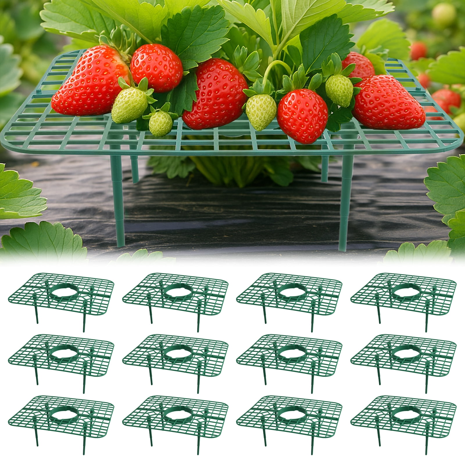 Richoose 12 Packs Square Strawberry Supports,Strawberry Growing Racks ...