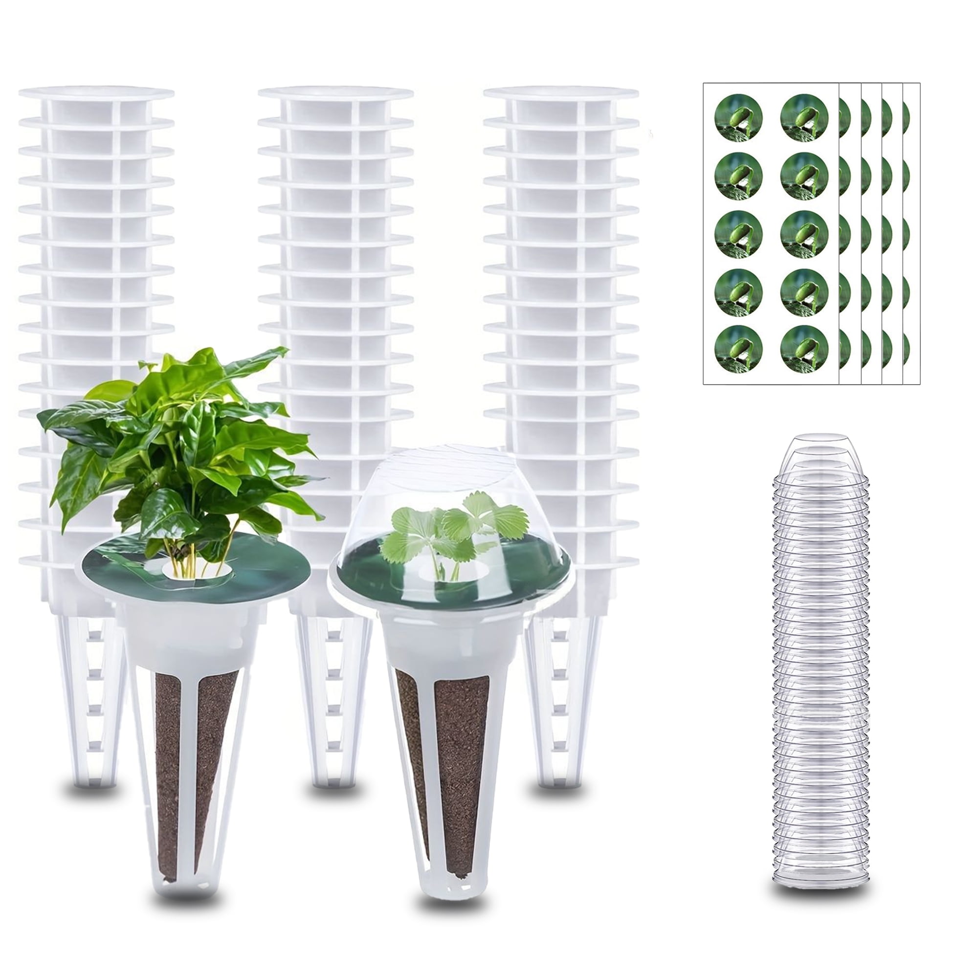 Richoose 150 Pcs Hydroponic Baskets Kit,50 Hydroponic Grow Baskets and ...
