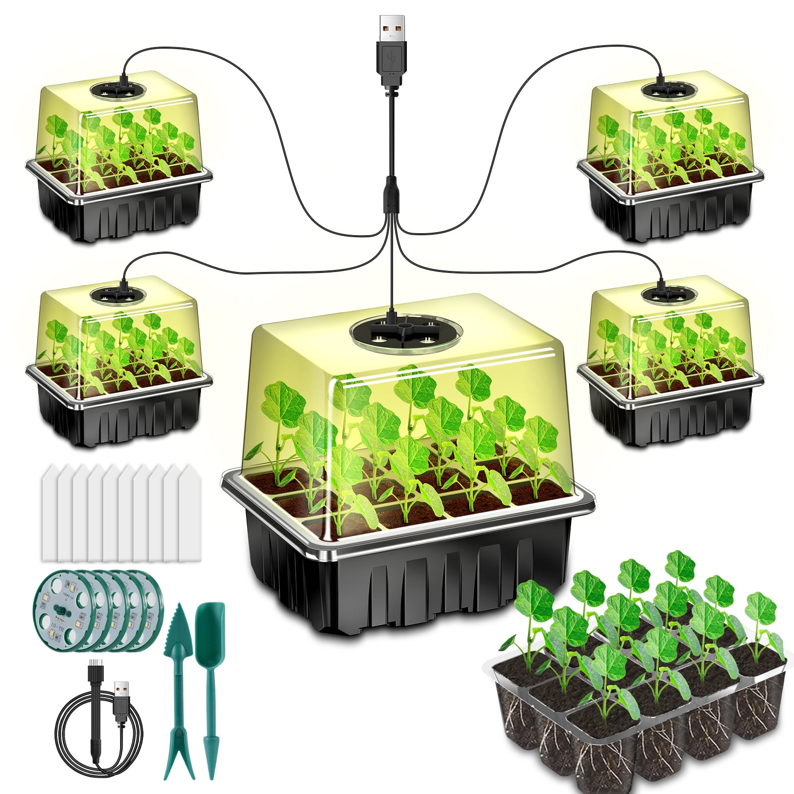 Richoose Elevated Seed Starter Trays with Grow Light,5 Pack 60 Cells ...