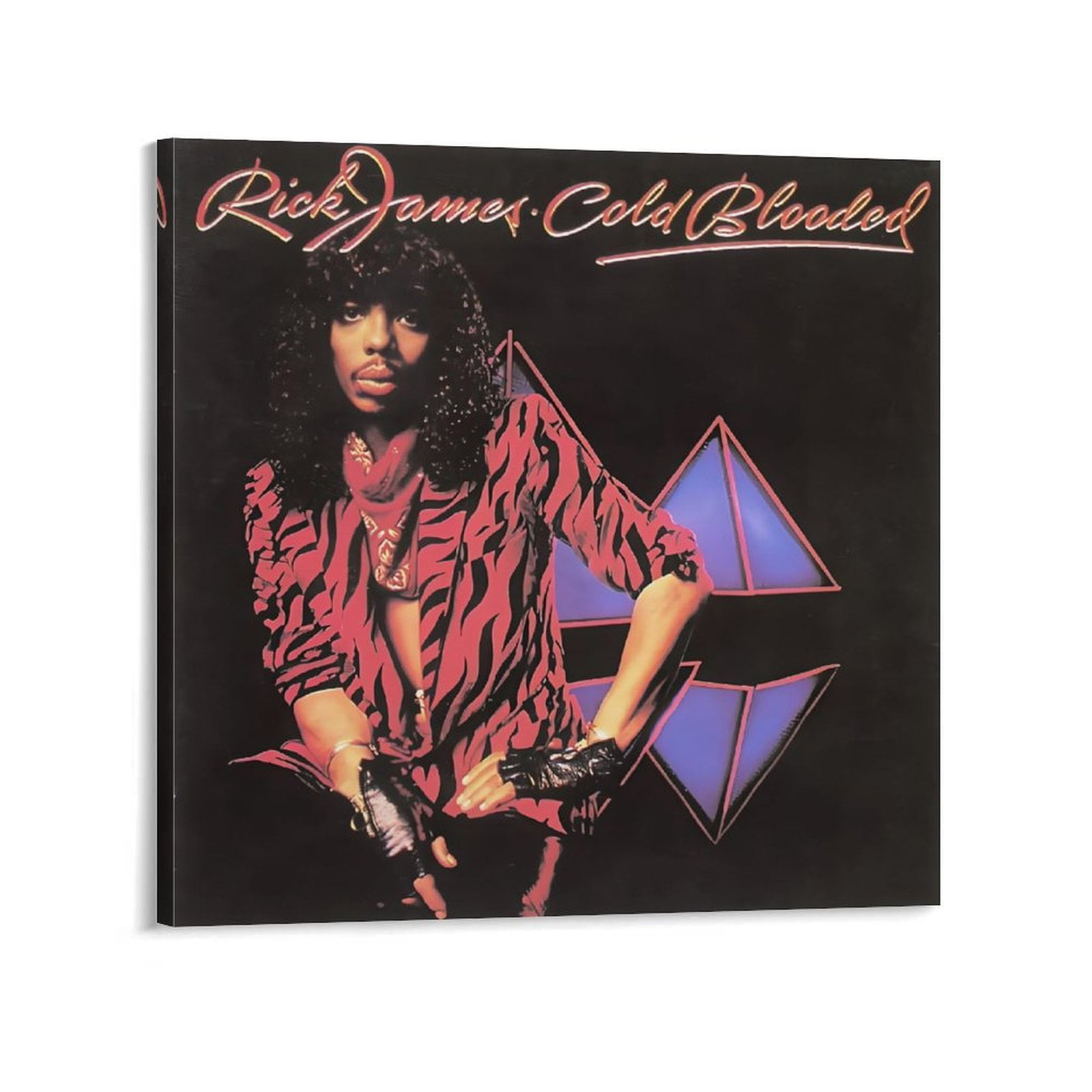 Rick James Singer Poster Print Canvas Wall Art (3) Home Decor Poster Wall Art Hanging Picture ...