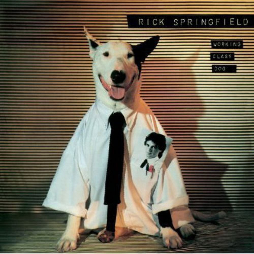 Rick Springfield - Working Class Dog - Music & Performance - CD ...