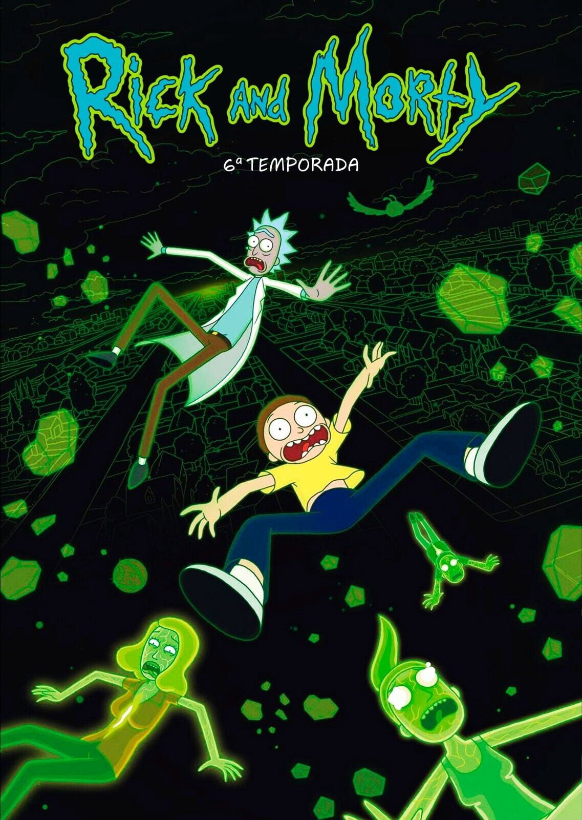 Rick and Morty Many versions! 24x36 Adult Swim Pickle Rick Cartoon ...