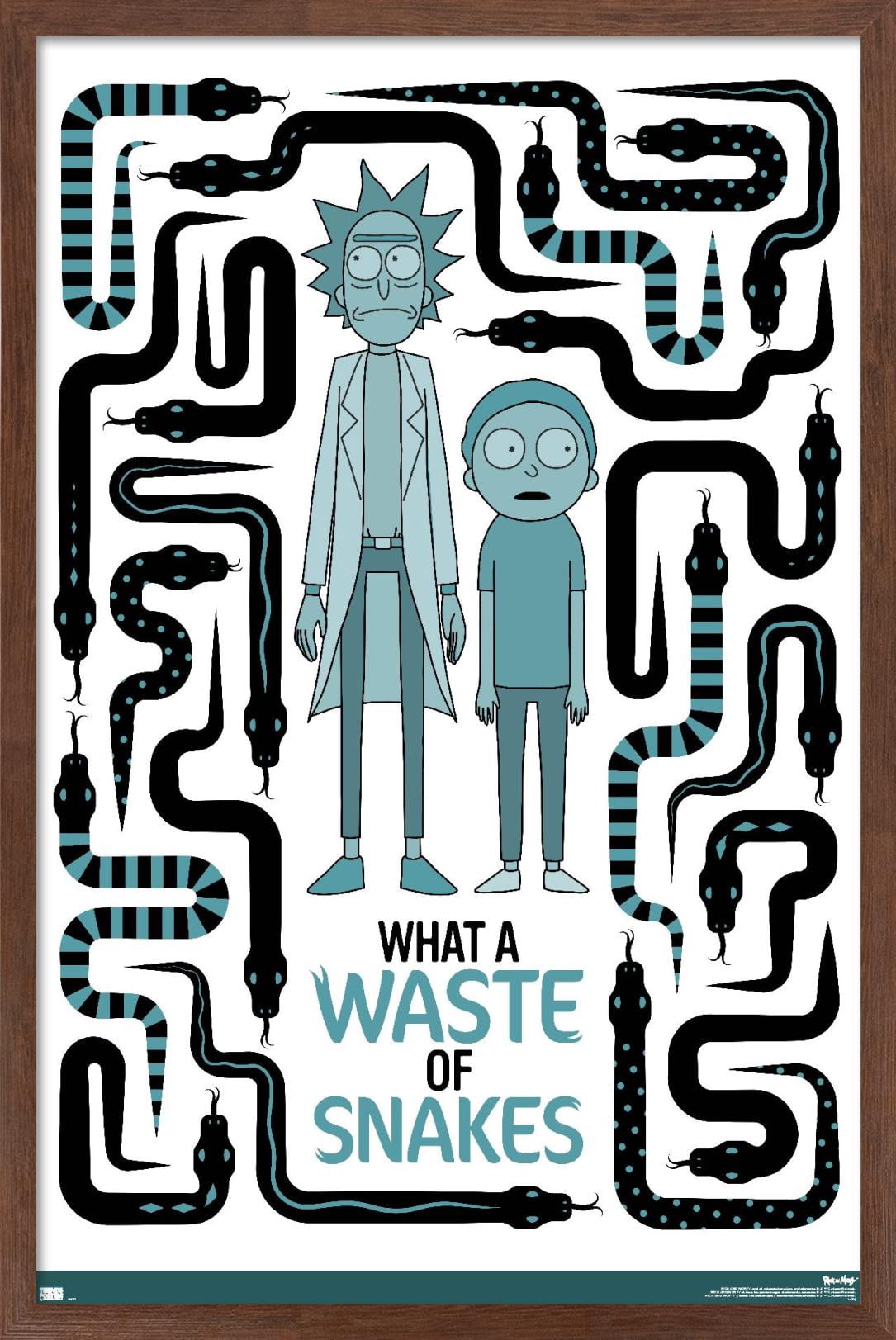 Rick and Morty - Waste of Snakes Wall Poster, 22.375" x 34" Framed ...