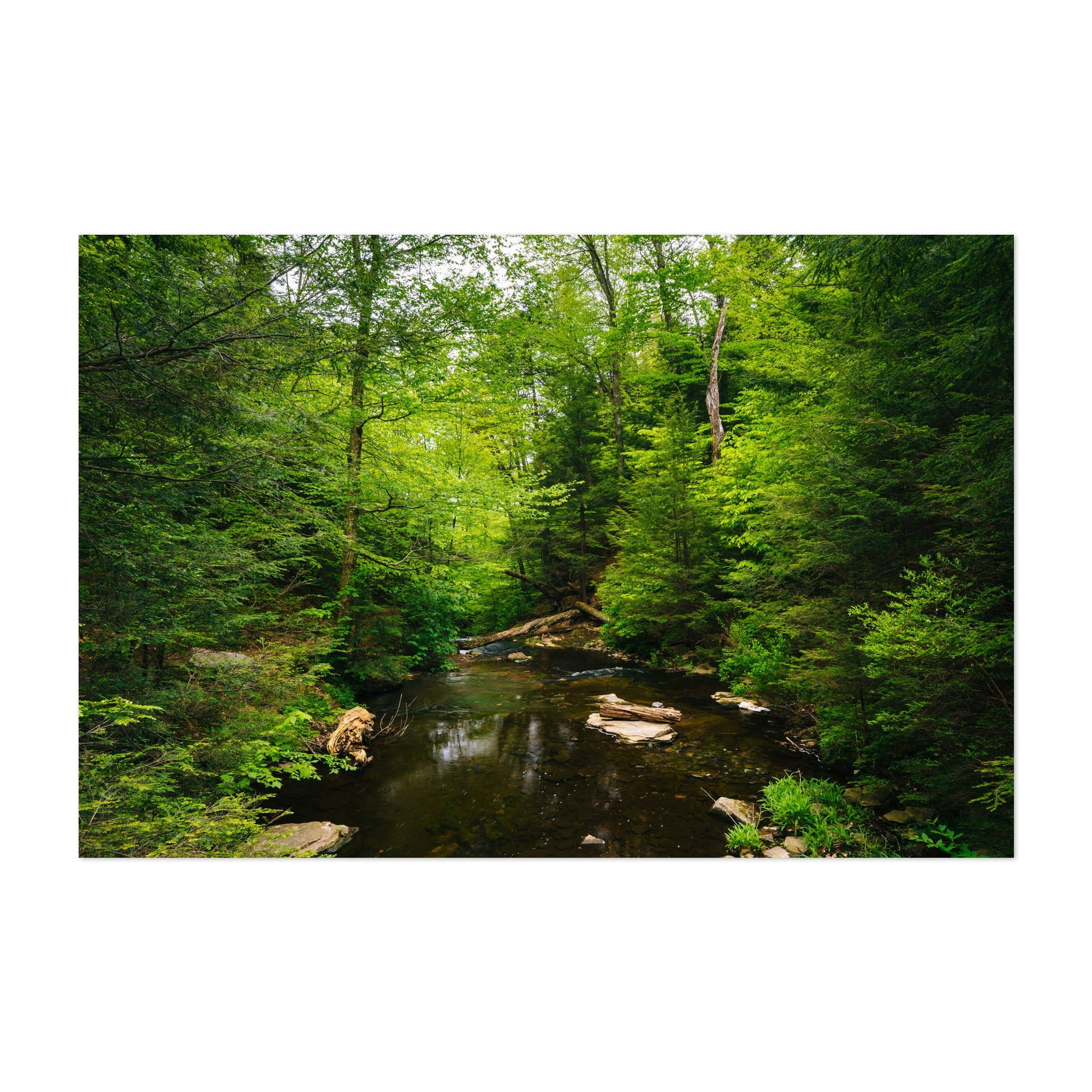 Ricketts Lush - Pennsylvania Photography Unframed Wall Art Print 8 x 12 ...