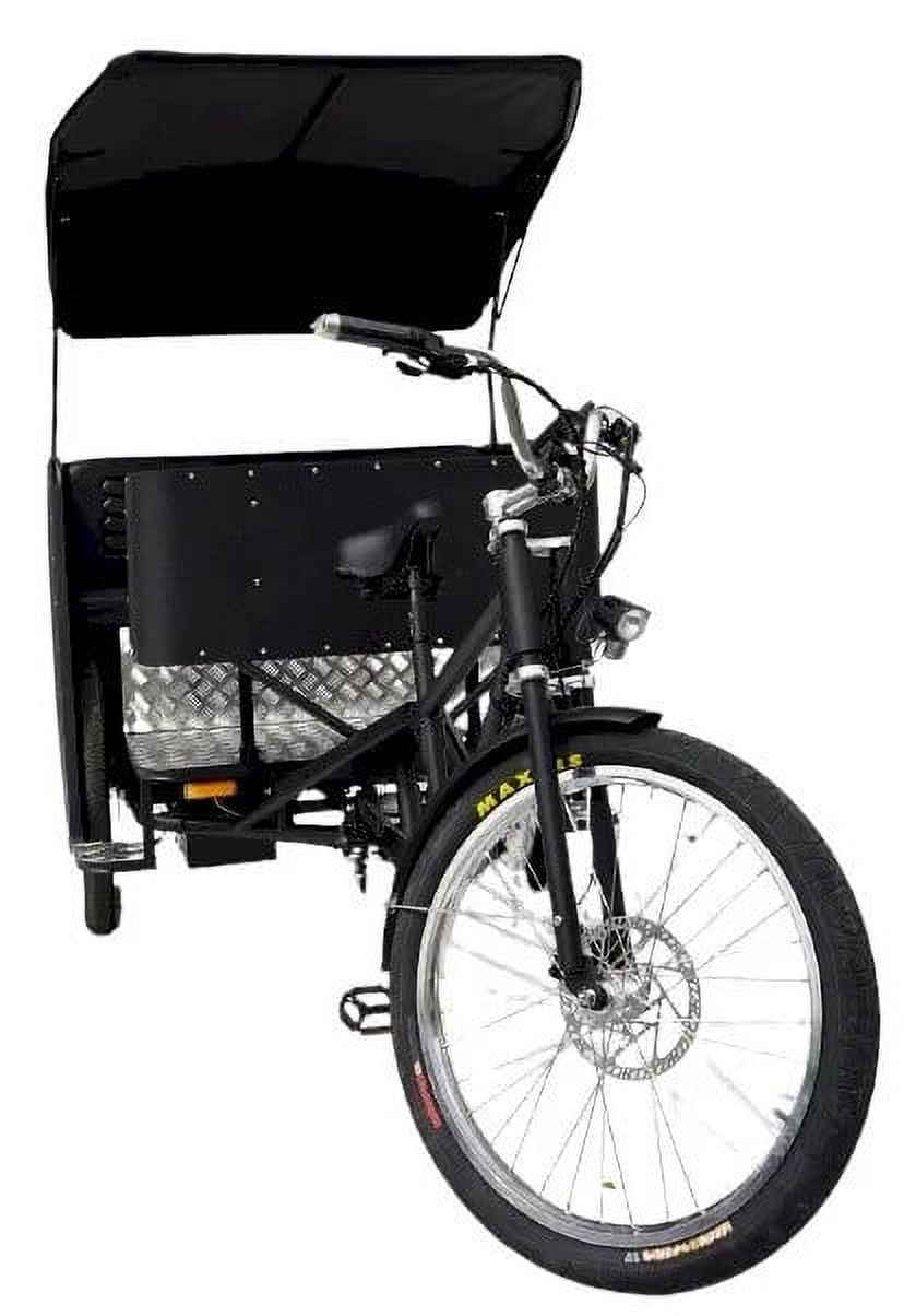 Rickshaw for Sale | Electric Motorized Pedicab for Five - Walmart.com