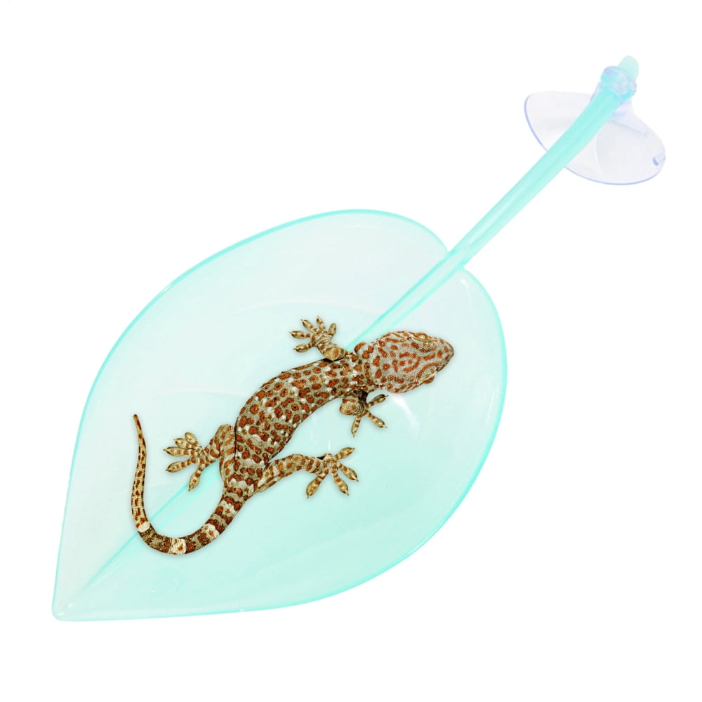 Ridecle Frog Basking Ledge Habitat Decor Leaf Shape Suction Cups Decor ...