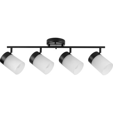 "Pro Track Elm Park 4-Light Gold Finish Track Fixture, Adjustable Spot ...