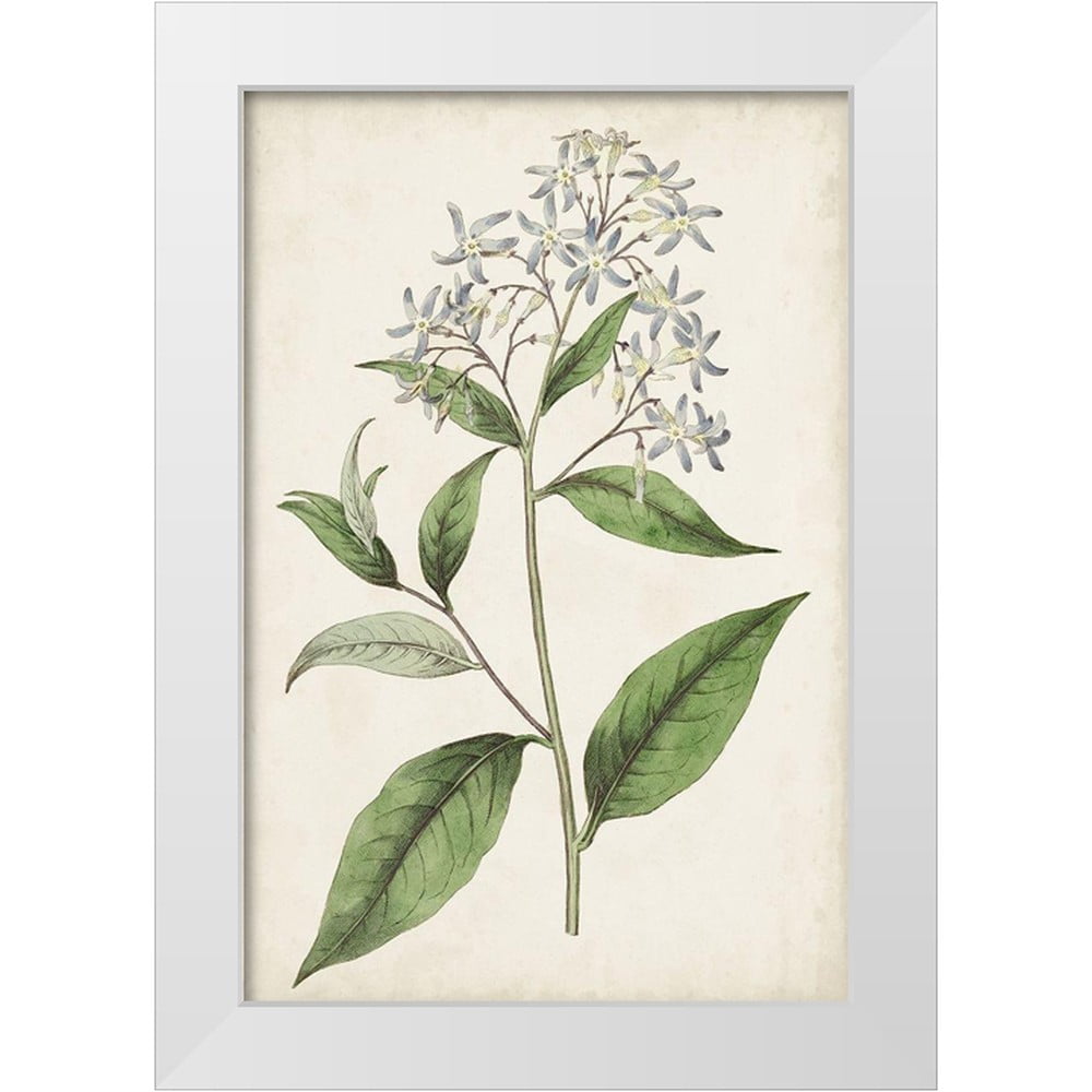 Ridgeway 17x24 White Modern Wood Framed Museum Art Print Titled ...