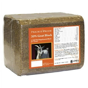 Ridley Sheep and Goat Outdoor Protein Block for Pasture Diets, 33lb ...