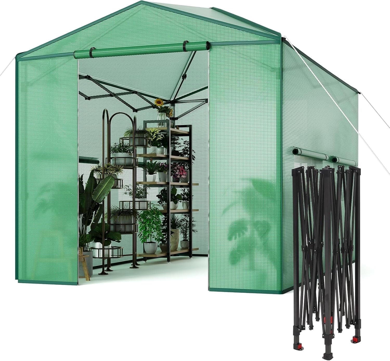 Riedhoff Portable Walk-in Greenhouse 12' x 8', Pop-up , Zippered Doors ...