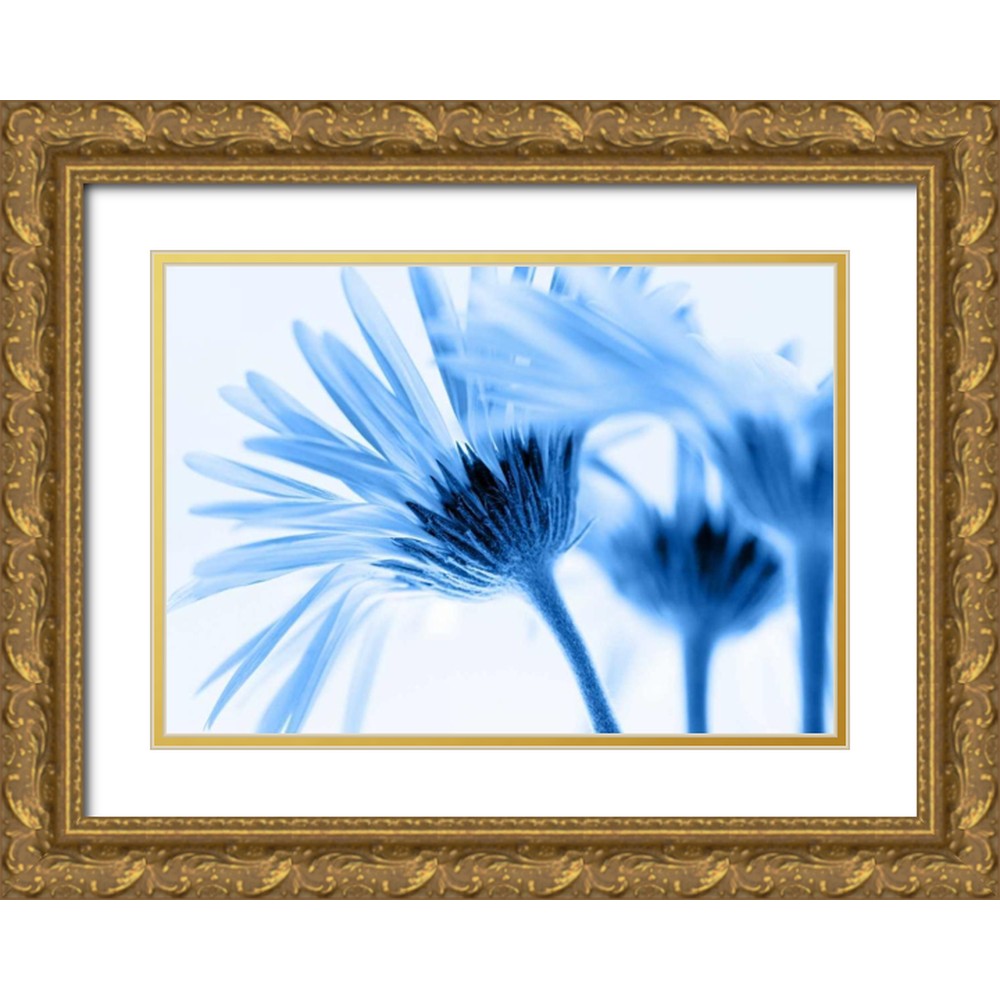 Riedt, Kirsten 32x24 Gold Ornate Wood Framed with Double Matting Museum ...
