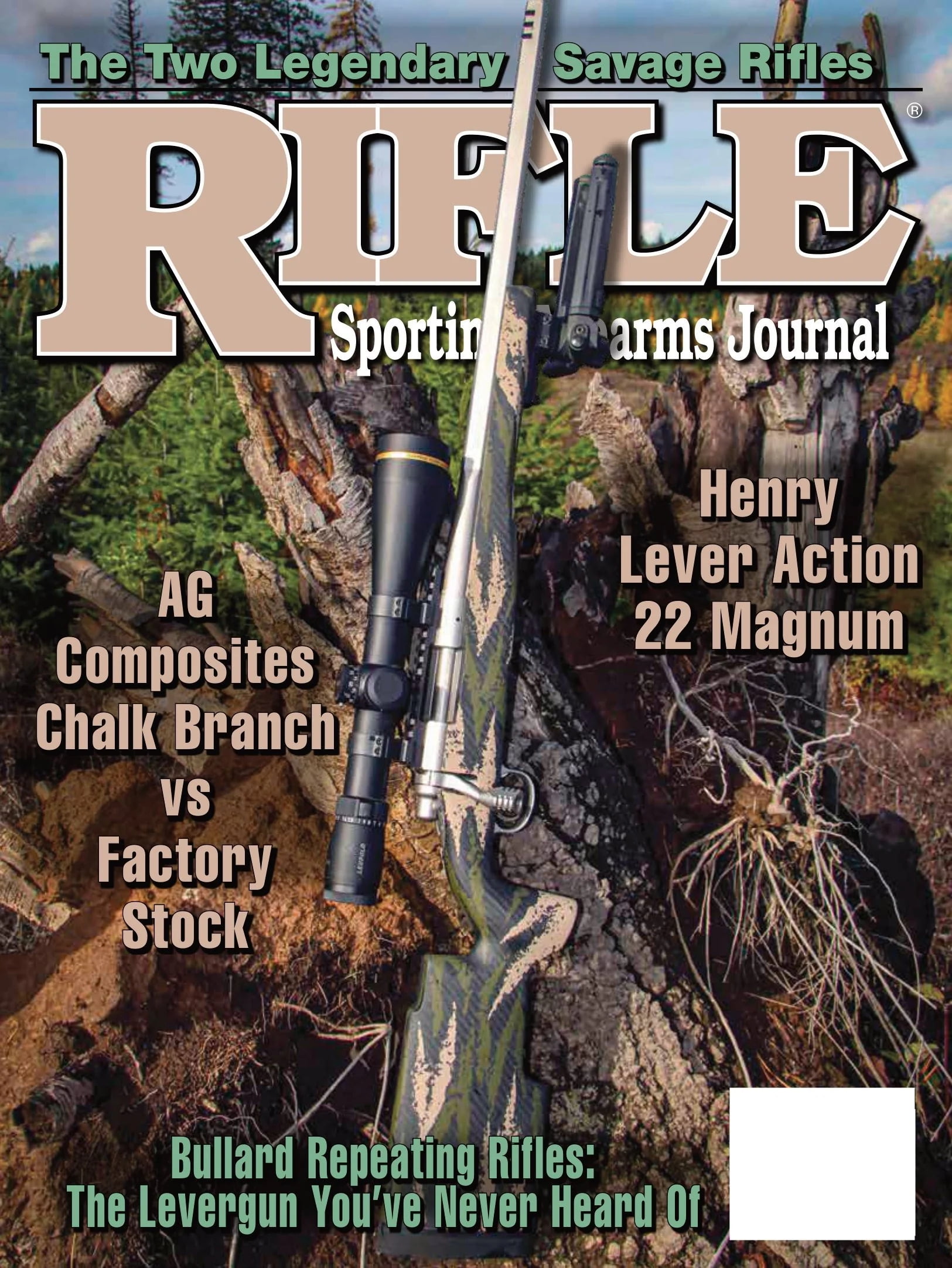 Rifle May 2024 - AG Composites Chalk Branch vs Factory Stock, Henry ...